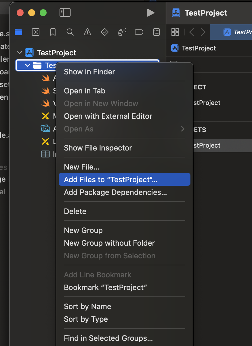 SPM compiler flags passed to main … | Apple Developer Forums