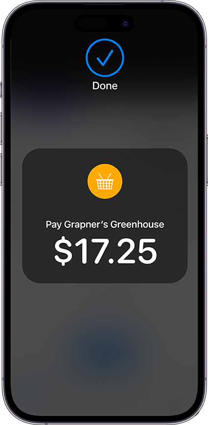 Marketing guidelines for payment apps - Tap to Pay on iPhone - Apple ...